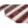 35 MM Negative Scanning to Digital Service | ScanMyPhotos.com